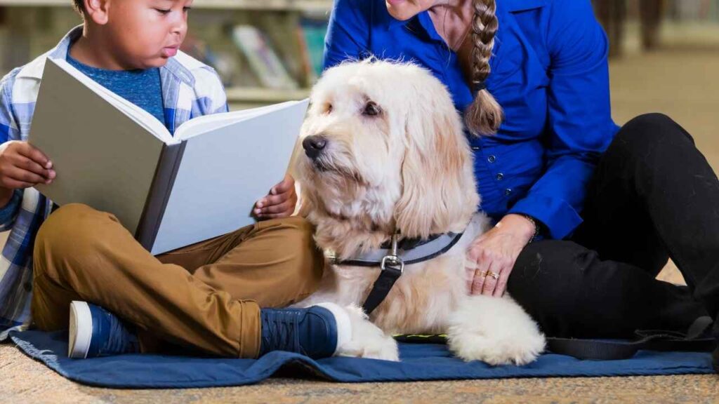 9 Small Therapy Dog Breeds For Emotional Support EN Pet YOLO