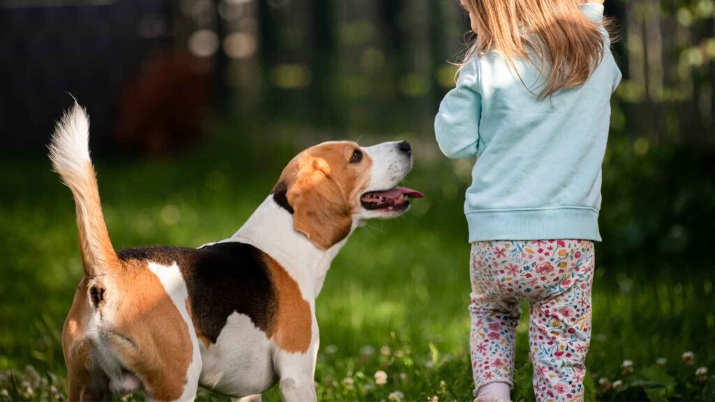 7 Most Docile Dog Breeds For Families EN Pet YOLO