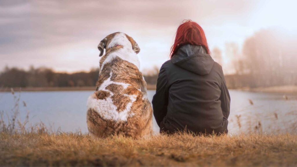 10 Dog Breeds For Single Women Seeking Company EN Pet YOLO