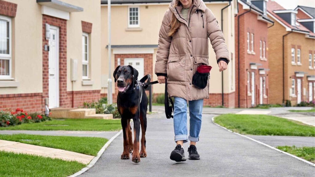 7 Guard Dog Breeds For Gen Z For Security And Safety EN Pet YOLO
