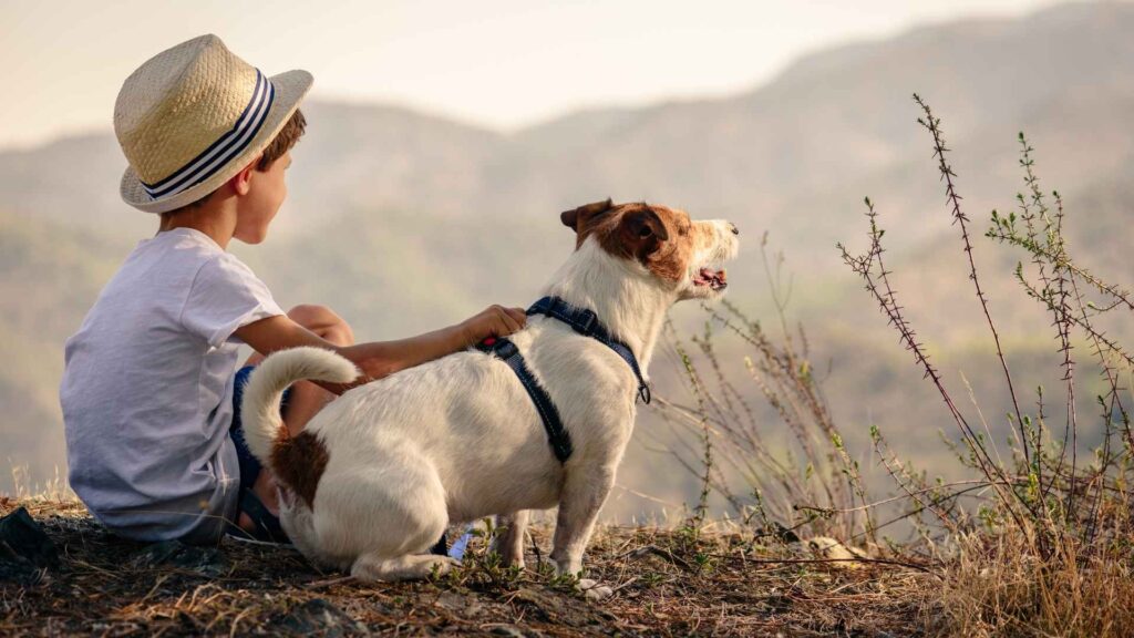 9 Cute Dog Breeds Bad For Children: What To Avoid EN Pet YOLO
